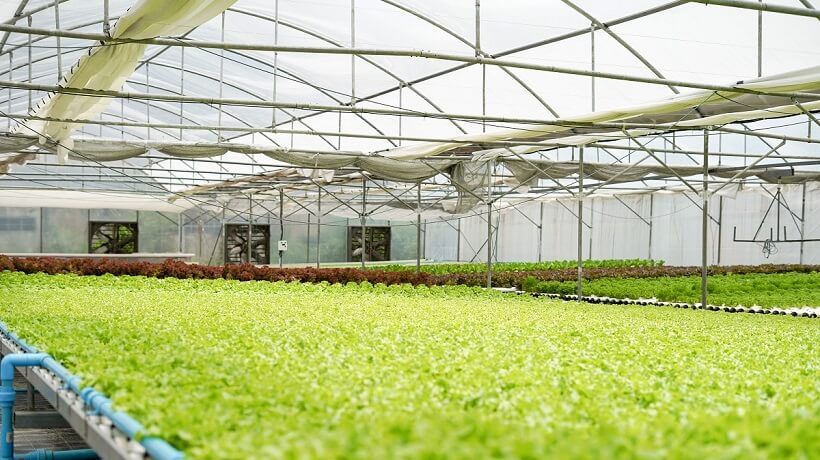 Intelligent Agriculture to Digitalize the Orchid Indu - 研华