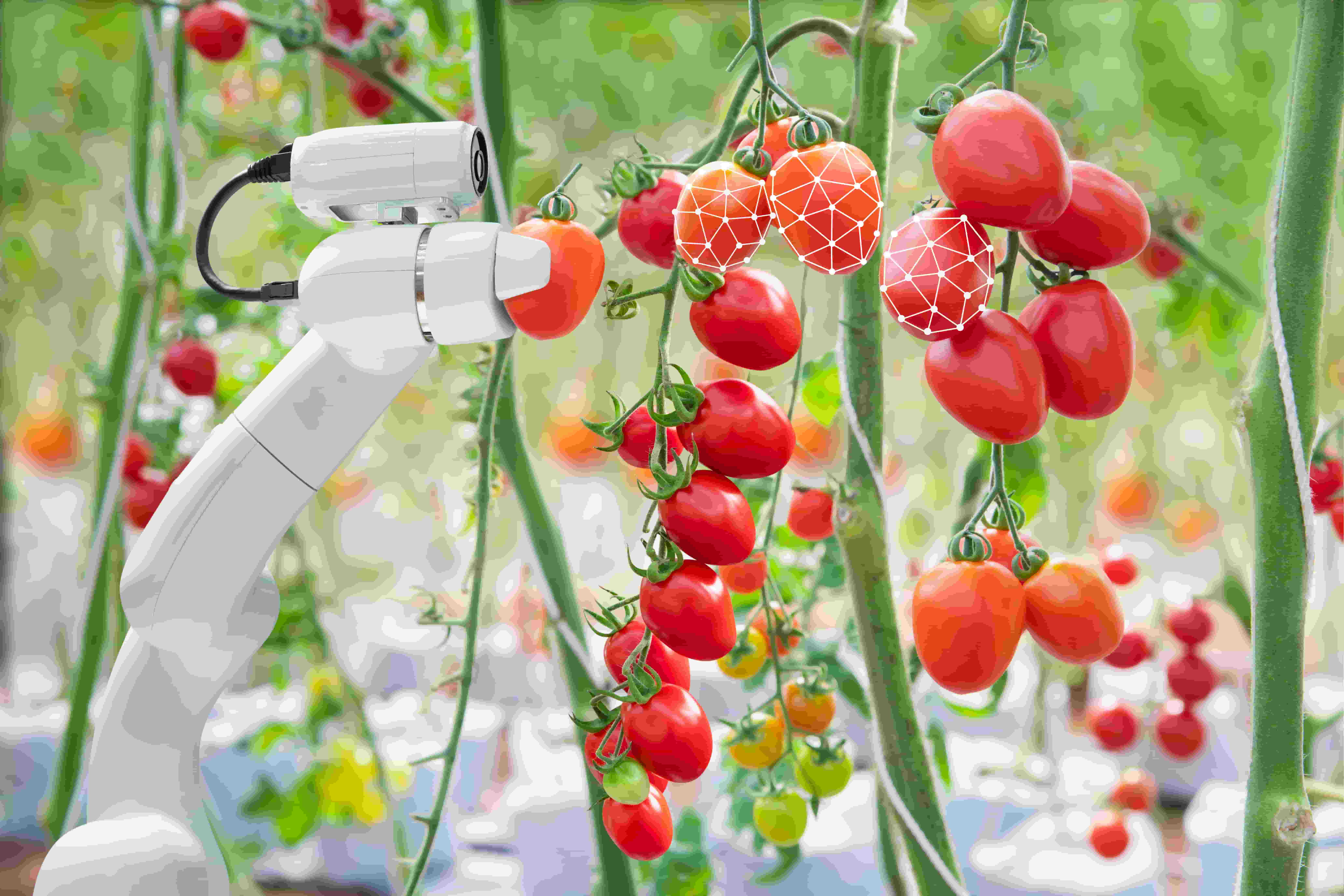 Advantech Edge AI System Application Cases - AI in Ag - 研华