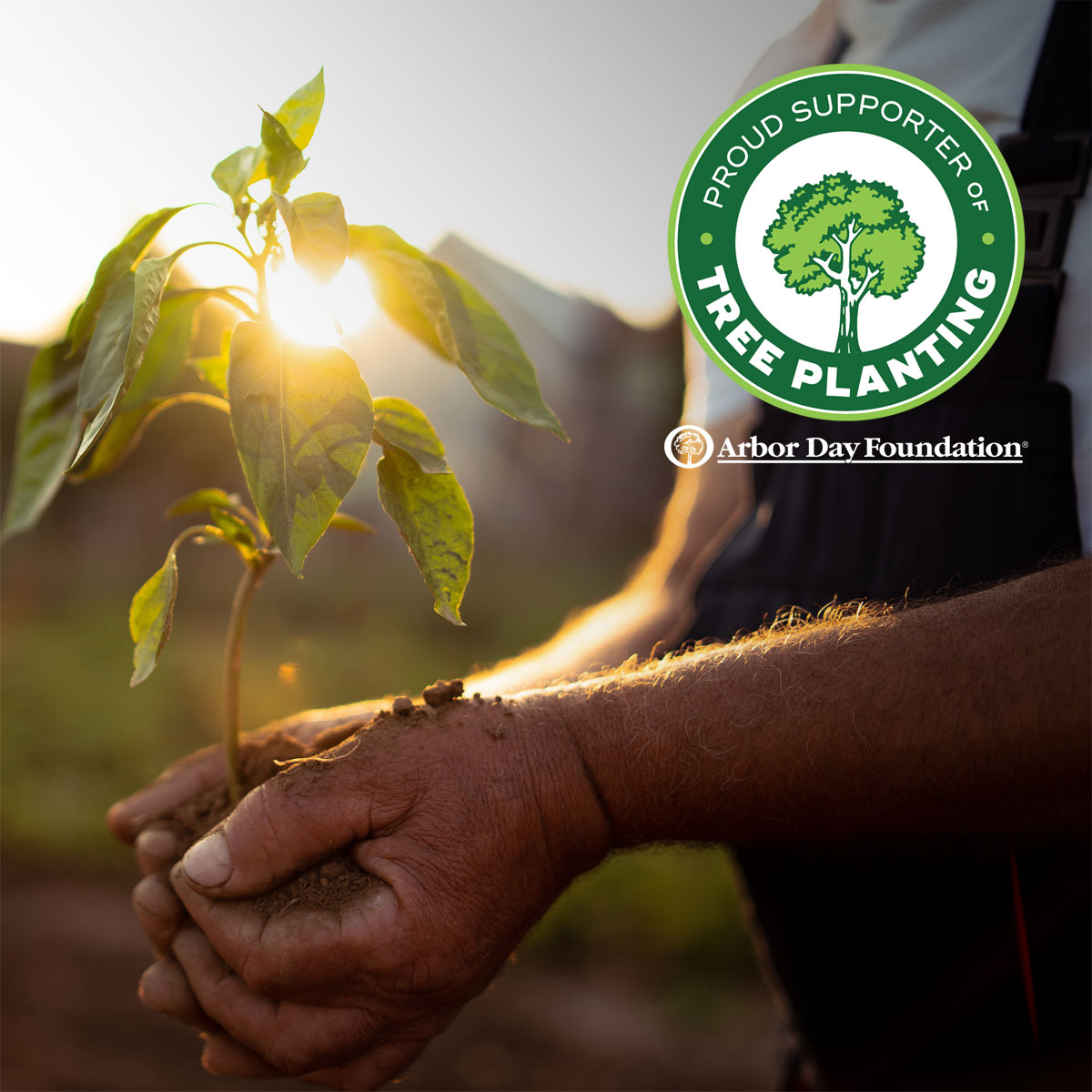 Advantech Collaborates with the Arbor Day Foundation - 研华