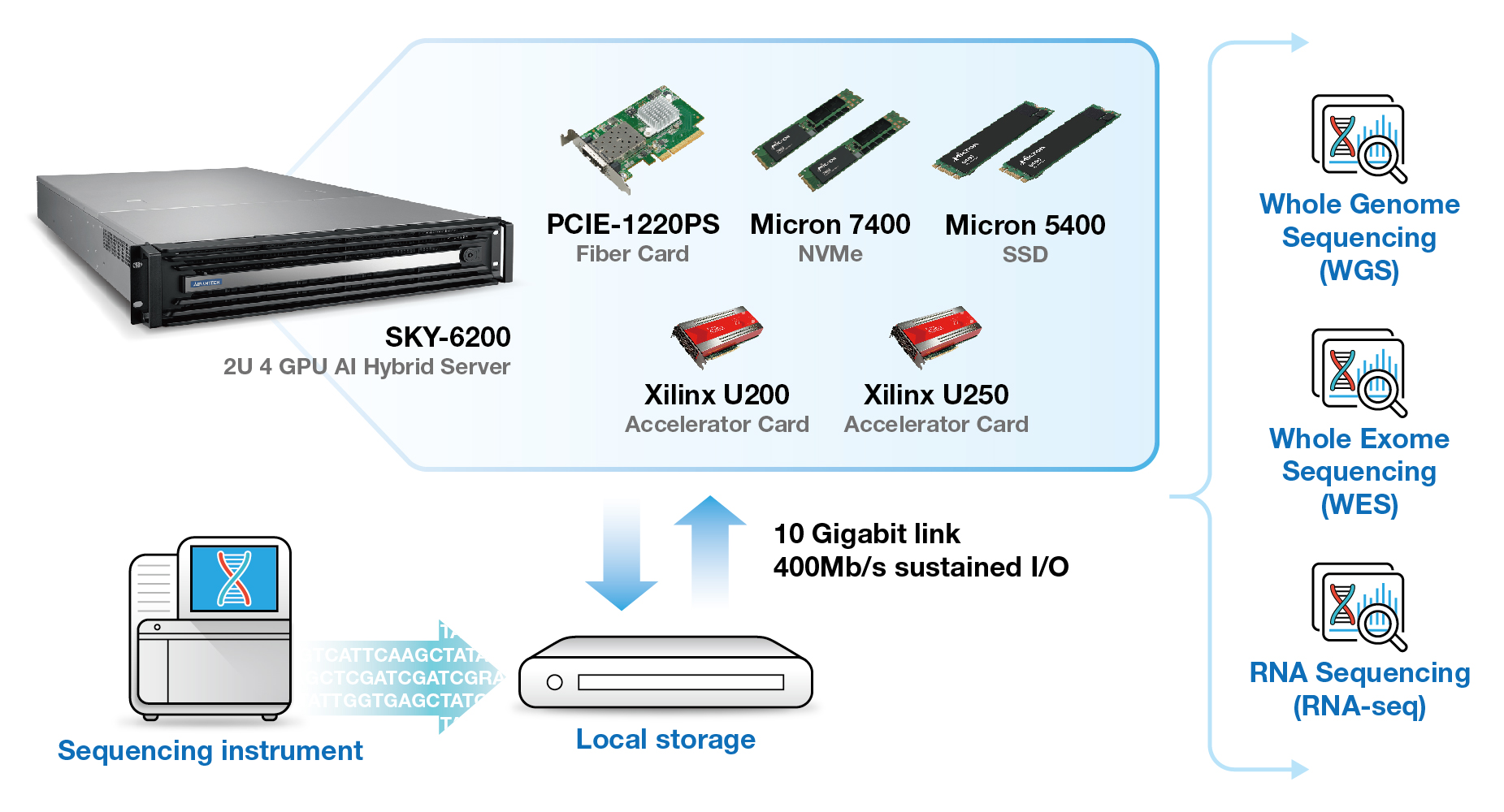 When Biology Meets Technology: Harnessing the Power o - 研华